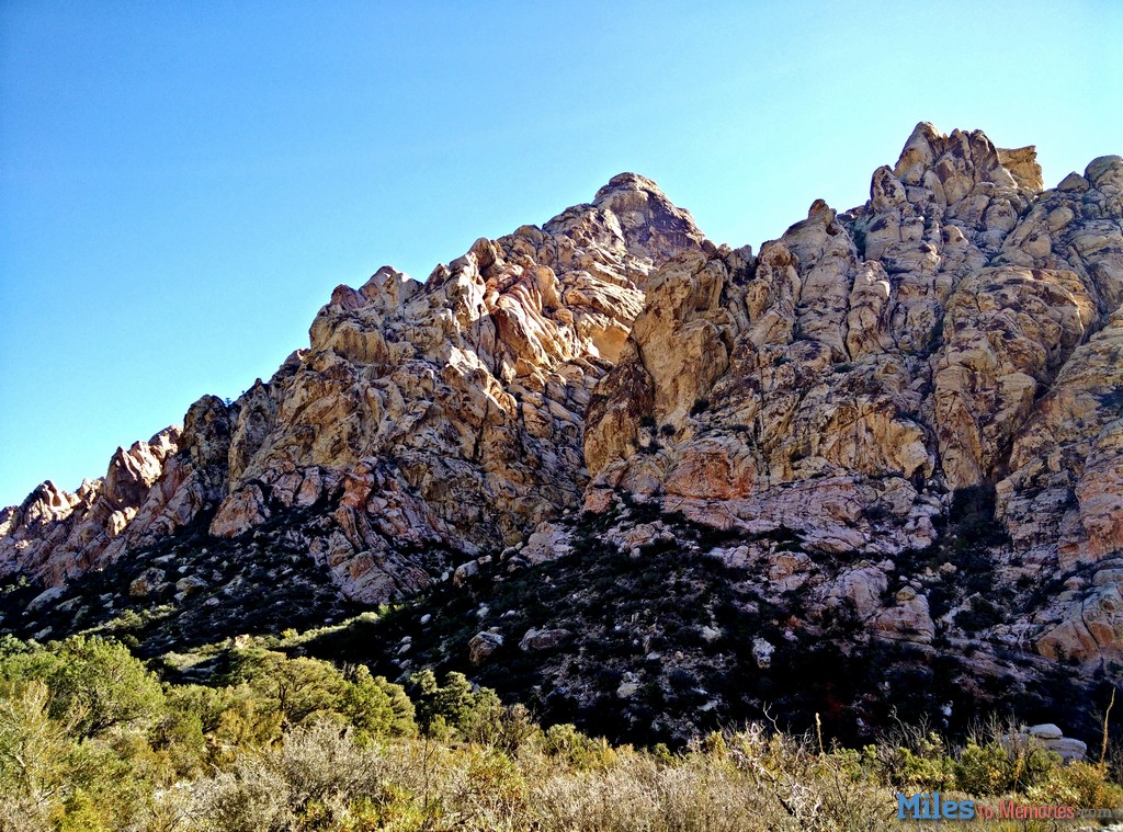 Red Rock Canyon Hiking Trails - La Madre Springs - A Gem