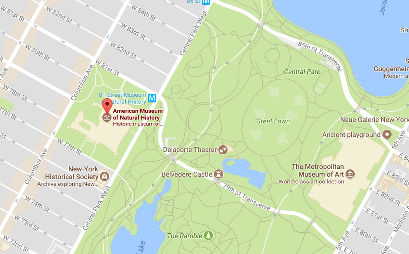 American Museum of Natural History Review - Part of BOA Museum on Us