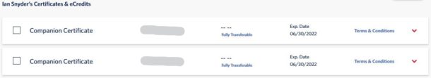 How to Use a Delta Companion Certificate: Step-by-Step Booking Guide