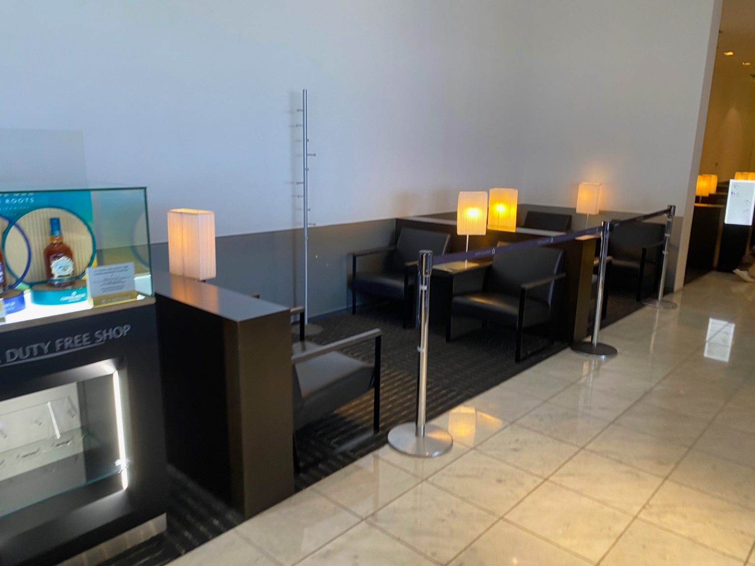 ANA Lounge Tokyo Narita Review - Perks & How to Gain Access!