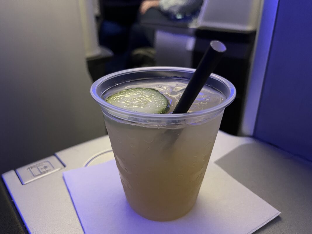 JetBlue Mint Review: Cross-Country Comfort Thanks to "Move to Mint ...